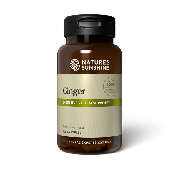 NS GINGER 525MG 100C - healthshopplus